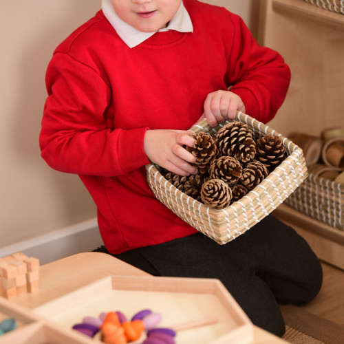 Set of Square Natural Baskets