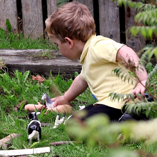 Set of Outdoor Farm Animals