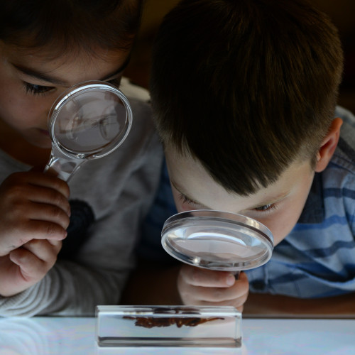 Set of Clear Magnifiers
