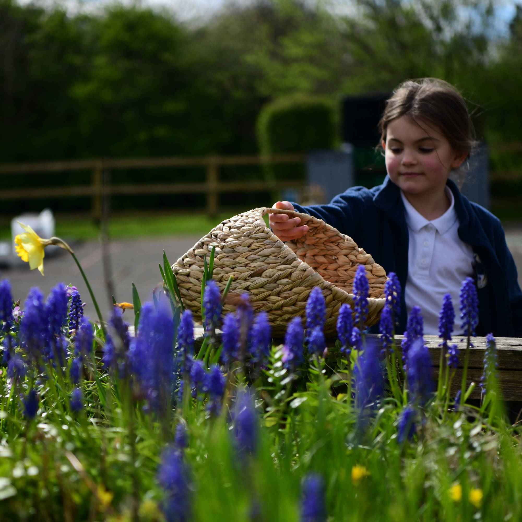 Large Natural Carry Trug