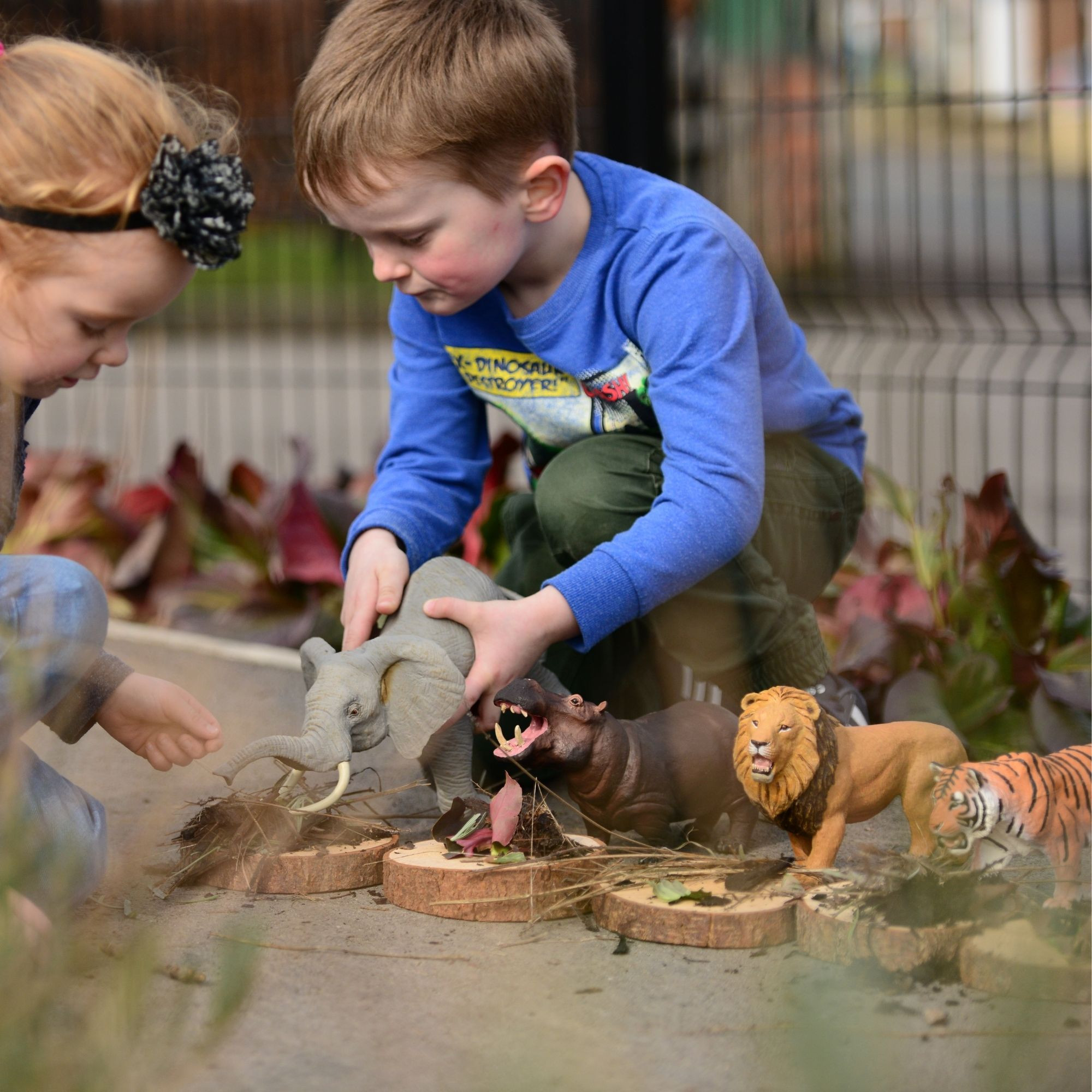 Set of Outdoor Wild Animals