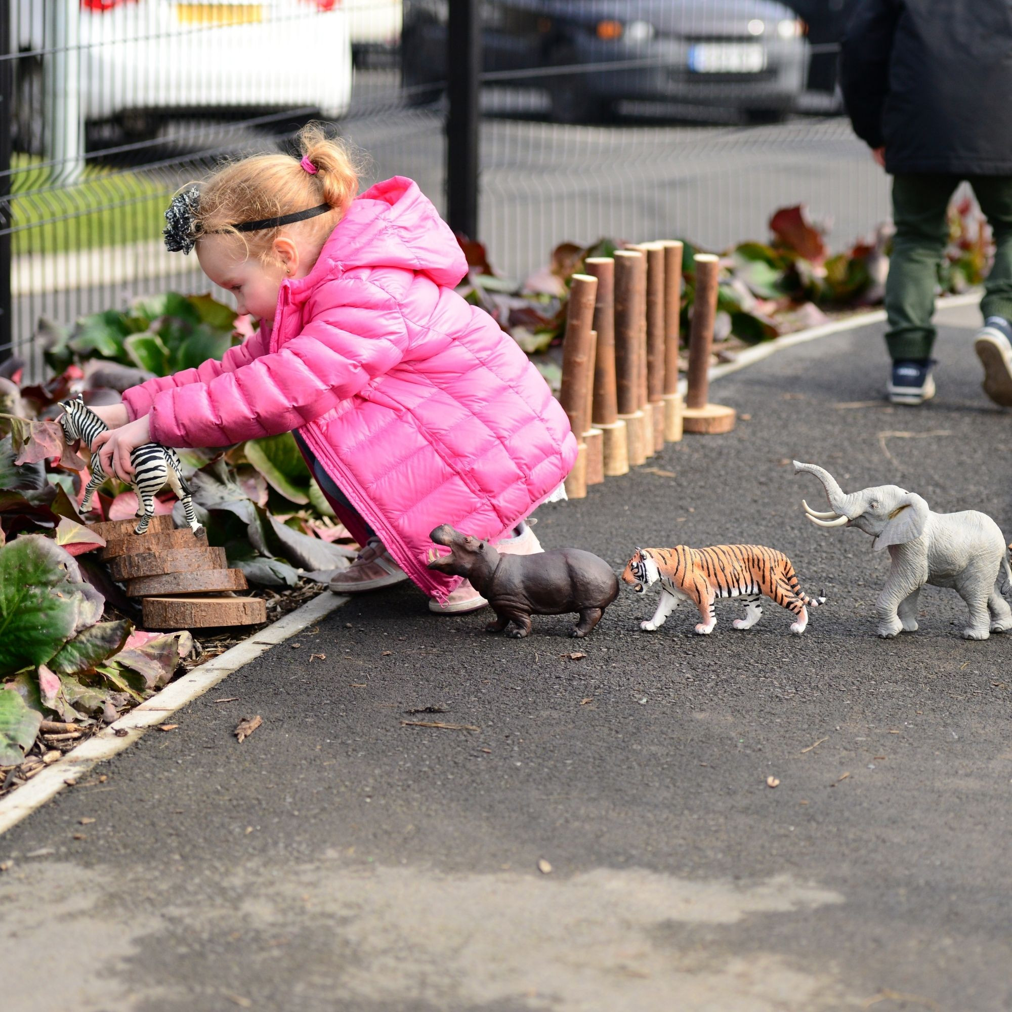 Set of Outdoor Wild Animals