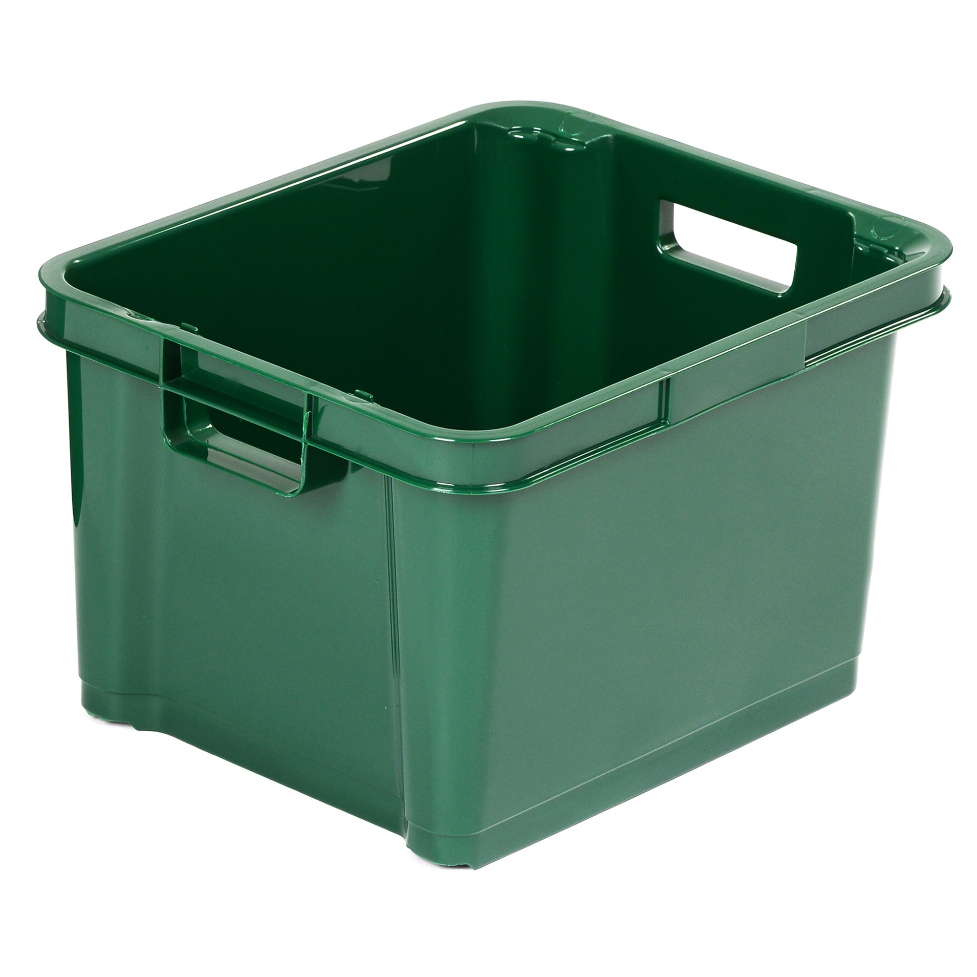 Medium Box Dark Green