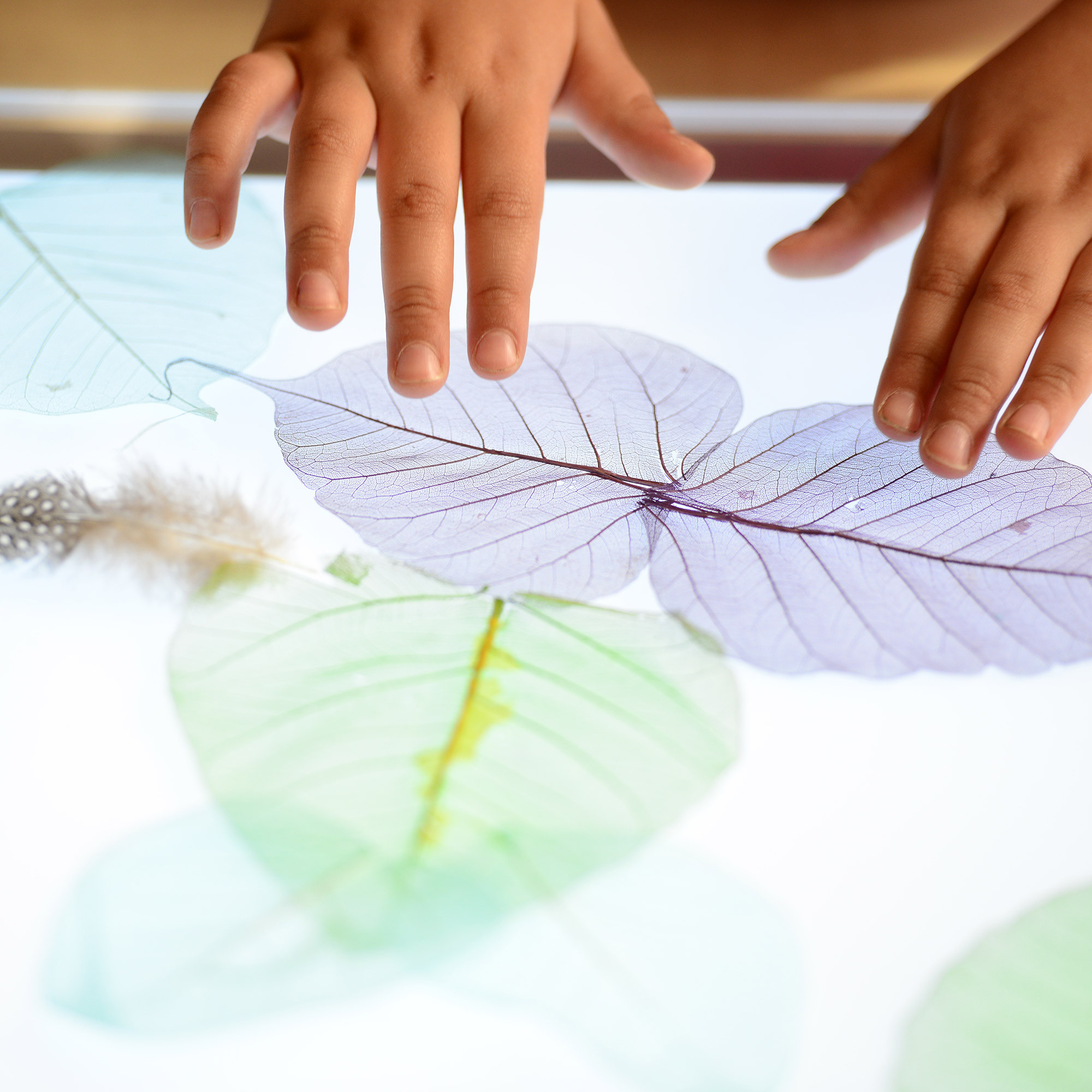 Interactive A3 Light Board