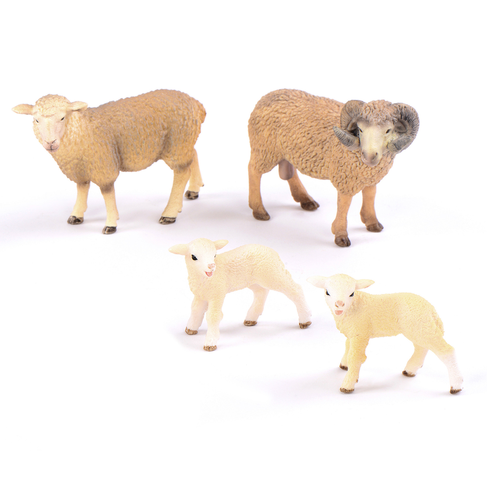 Sheep Family Set